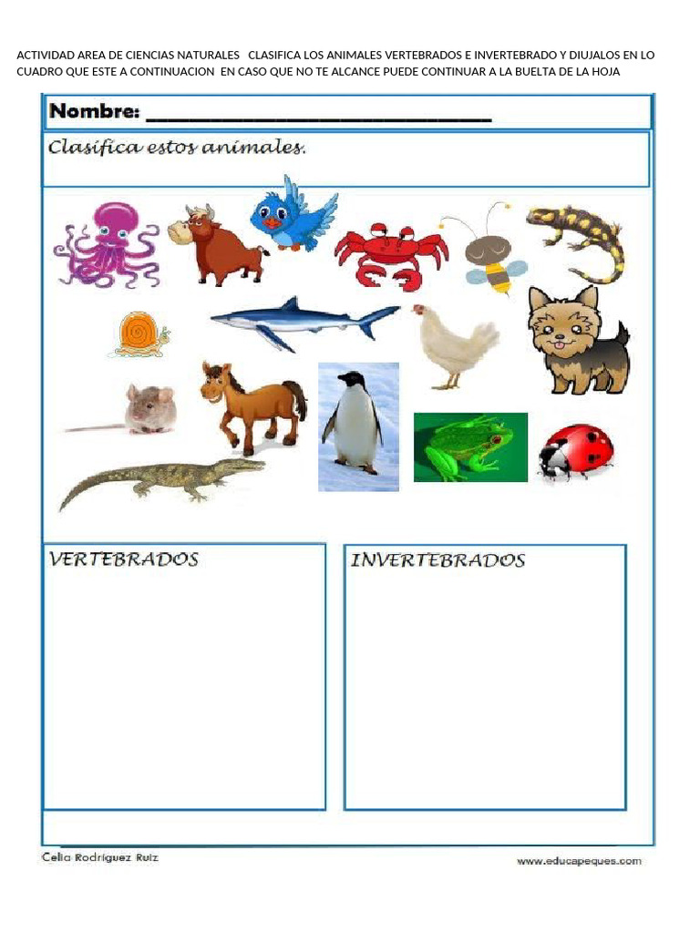 Actividad Area de Ciencias Naturales Clasifica Los Animales Vertebrados ...