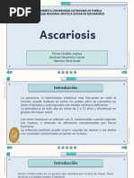 Ascariasis: Prevención y Tratamiento | PDF | Enfermedades y trastornos humanos | Medicina