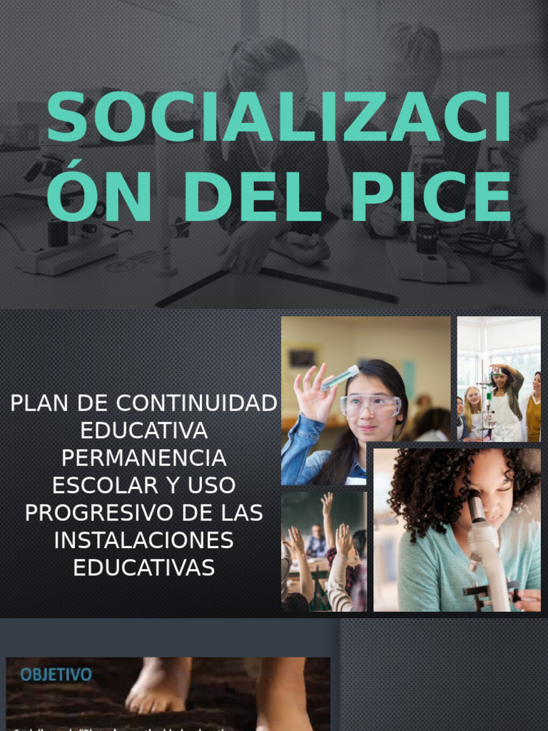 Socializacion Pice | PDF