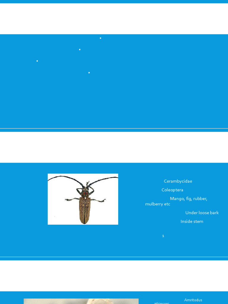 Spotting Ento-243 (2022-2023) | PDF | Insects