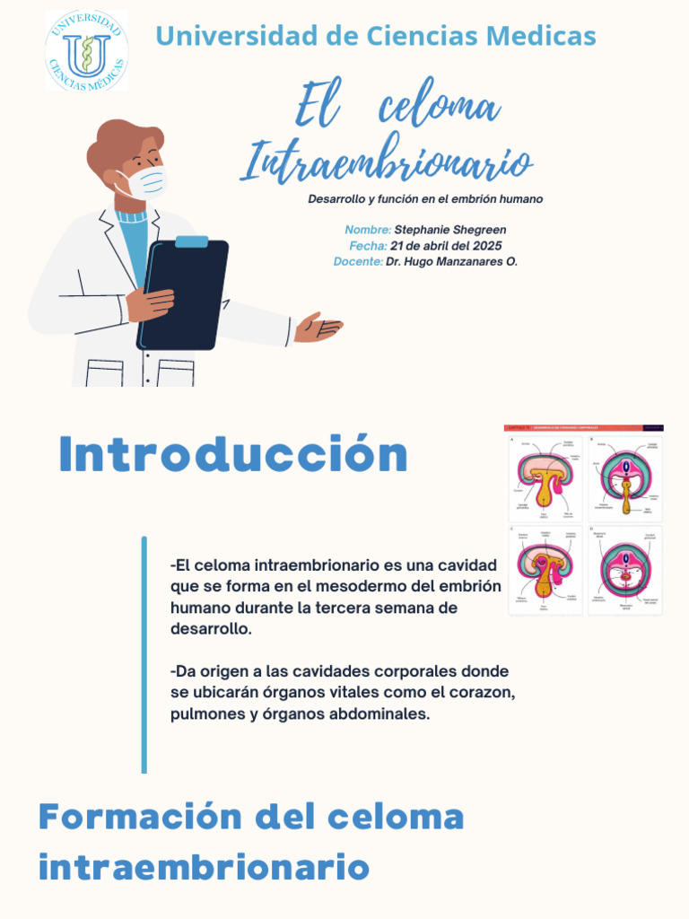 Celoma Intraembrionario (Embriologia) 20250423 065532 0000 | PDF