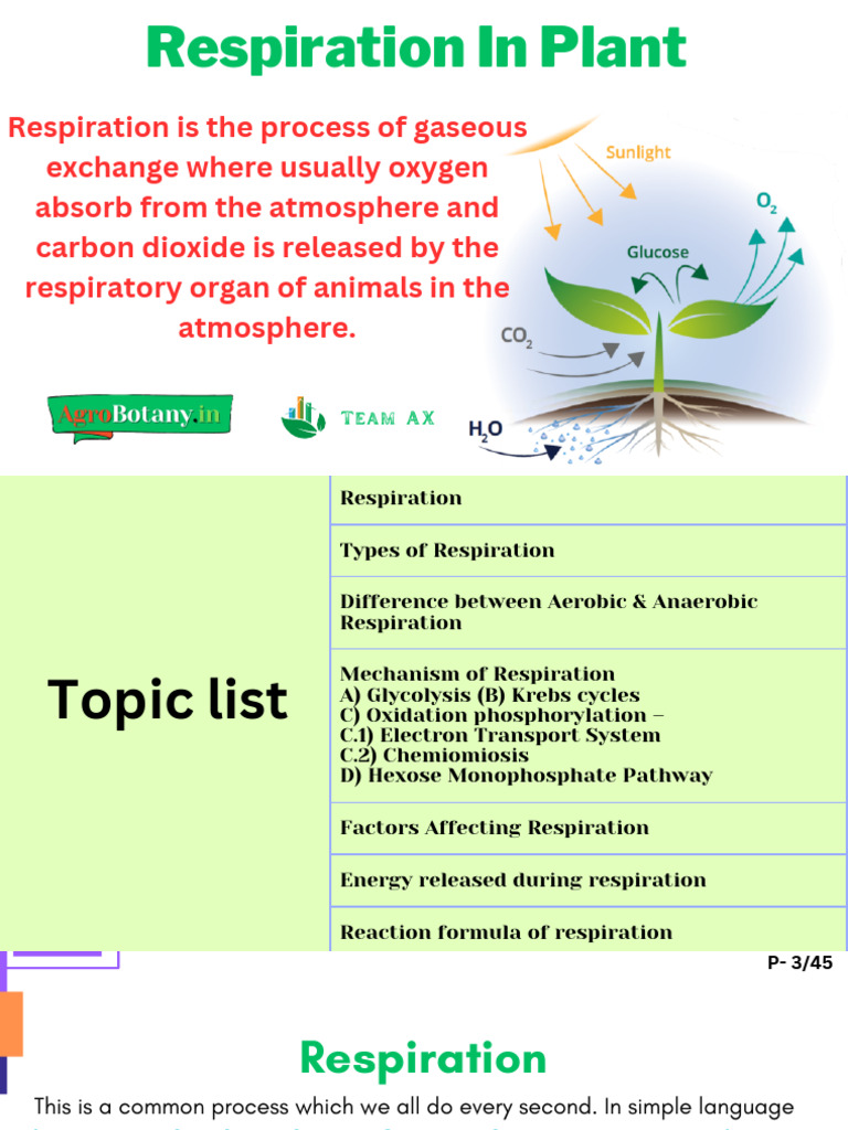 What Is Respiration It's Types and Mechanism & Factors Affecting | PDF ...