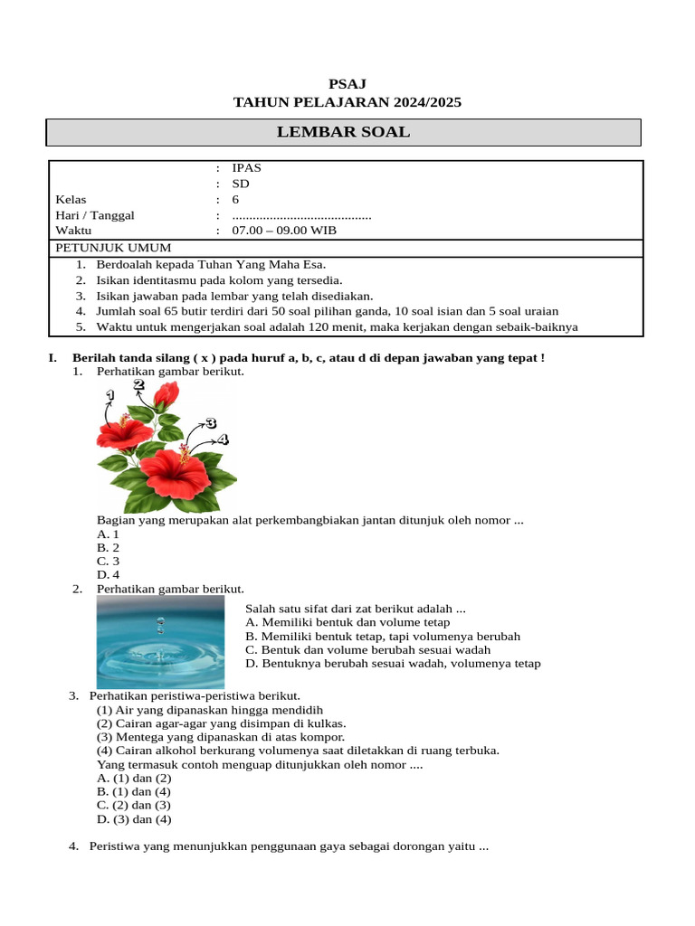 Psaj Kelas Ipas 6 2024-2025 | PDF