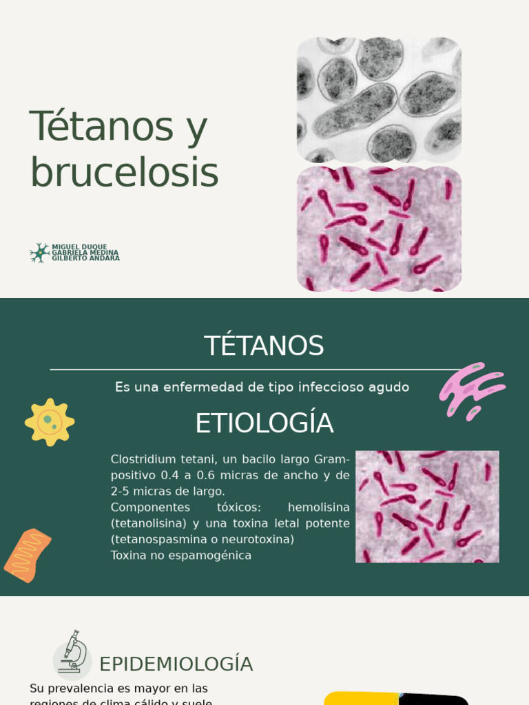 Tetanos y Bruce Los is Dia Pos | PDF | Microbiología | Enfermedades y ...