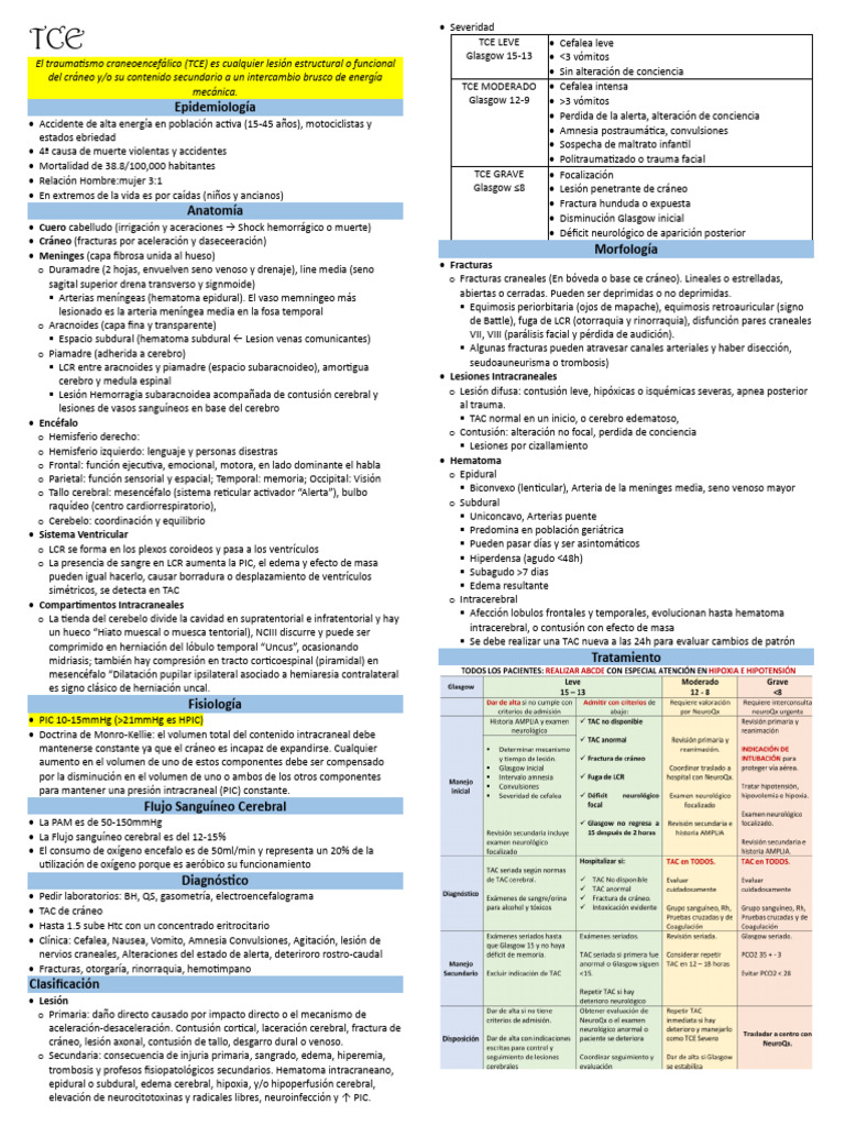 4) TCE | PDF | Fluido cerebroespinal | Cerebro