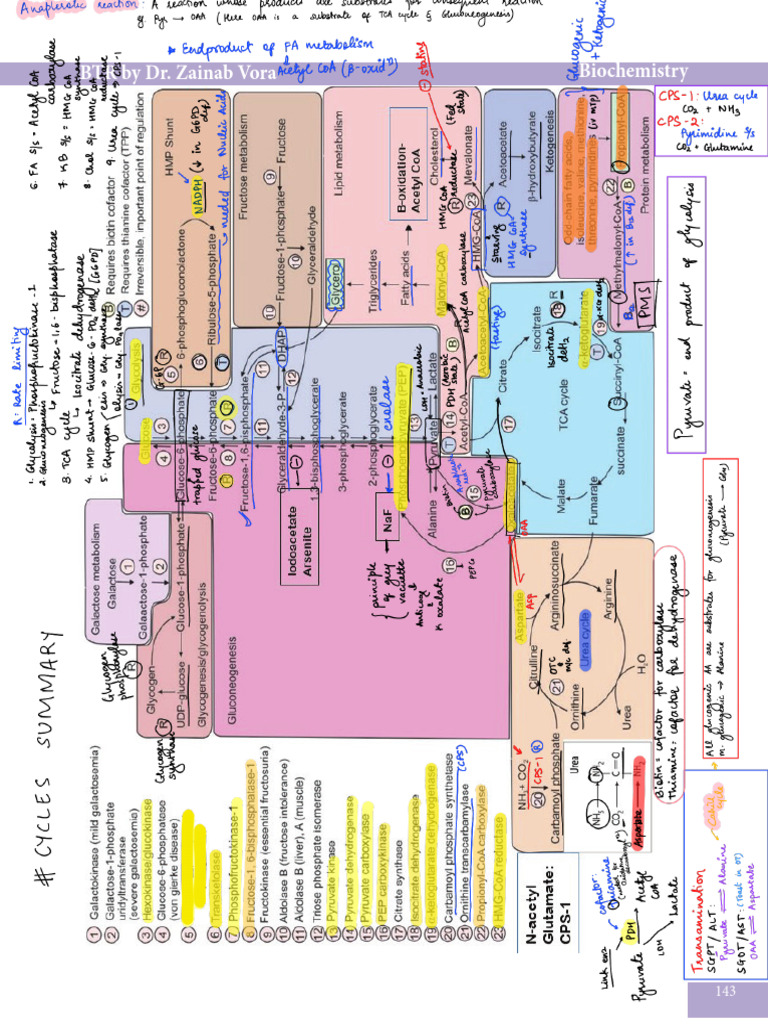 Main BTR Compiled | PDF