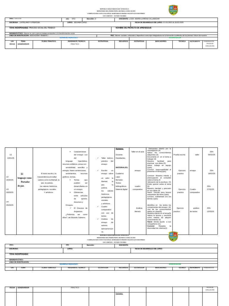 2formato Planificación 2025 | PDF | Ensayos | Cognición