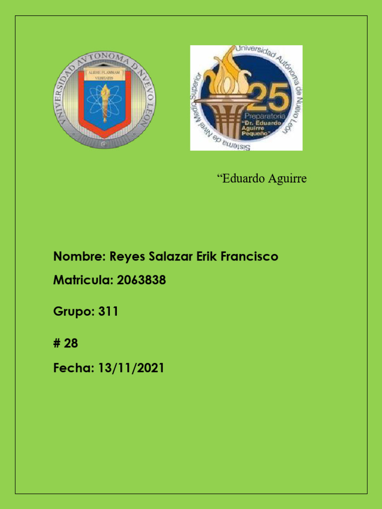 EFRS - AR Etapa 4 - FyR | PDF