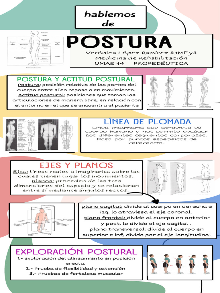 Infografía Hablemos de Postura | PDF | La columna vertebral | Términos anatómicos de ubicación