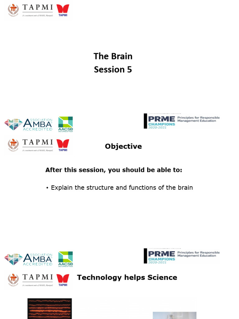 Session 5 The Brain | PDF | Limbic System | Brain