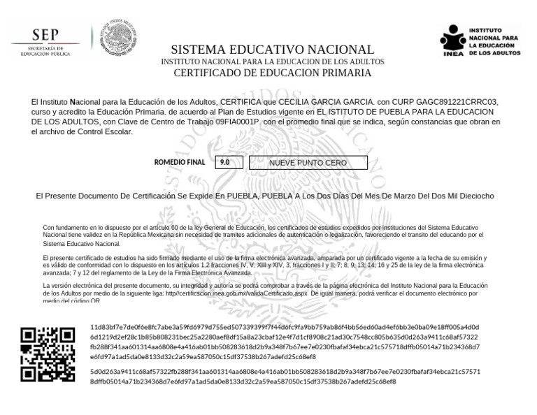 Certificado Inea | PDF