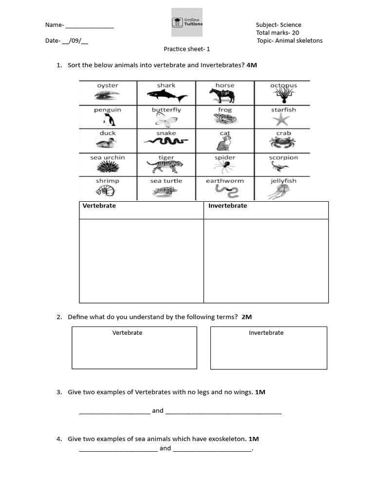 Revision Sheet - 7 Animal Skeleton | PDF