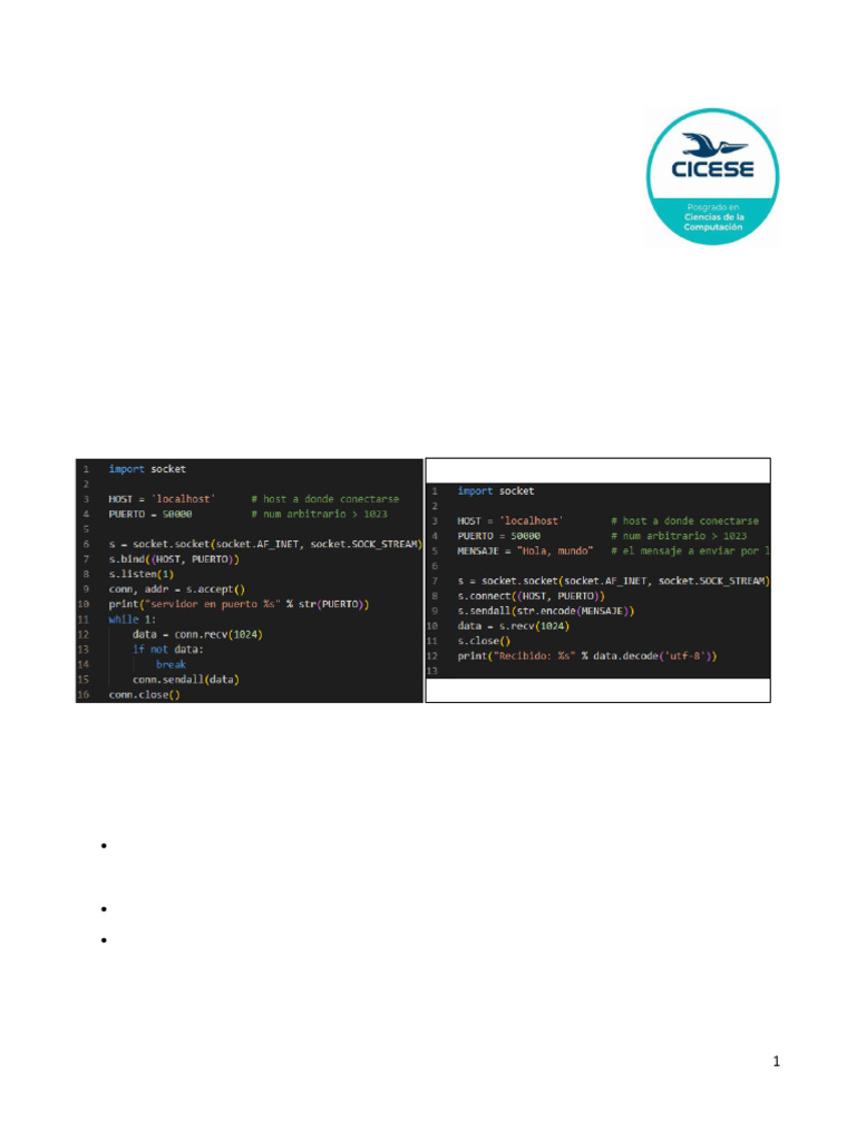 Reporte P Sockets | PDF | Zócalo de red | Protocolo de Control de Transmisión