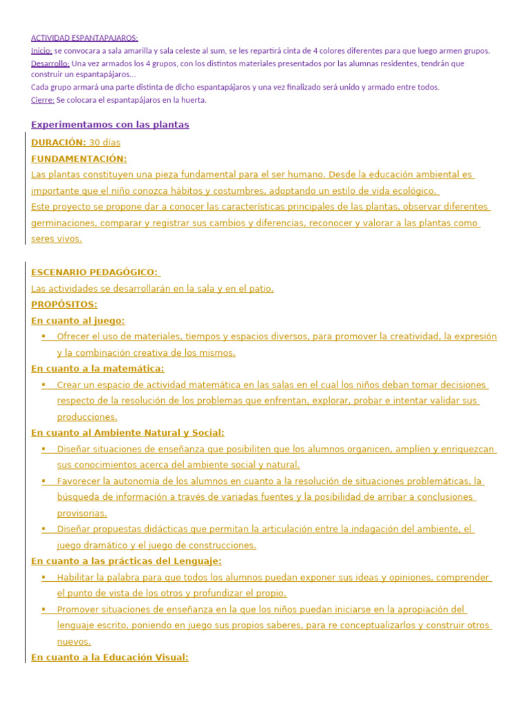 Actividad Espantapajaros | PDF | Enseñando | Tallo de la planta