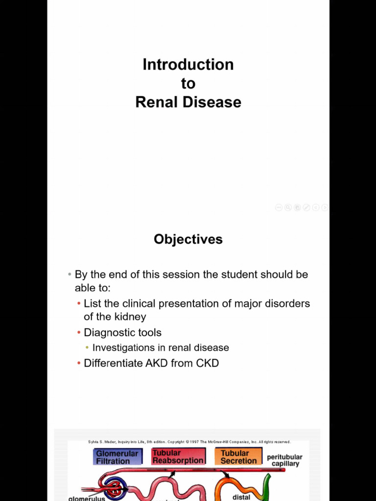 Intro To Renal Disease | PDF