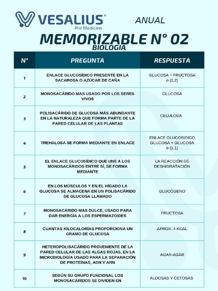 Memorizable N°2 | PDF
