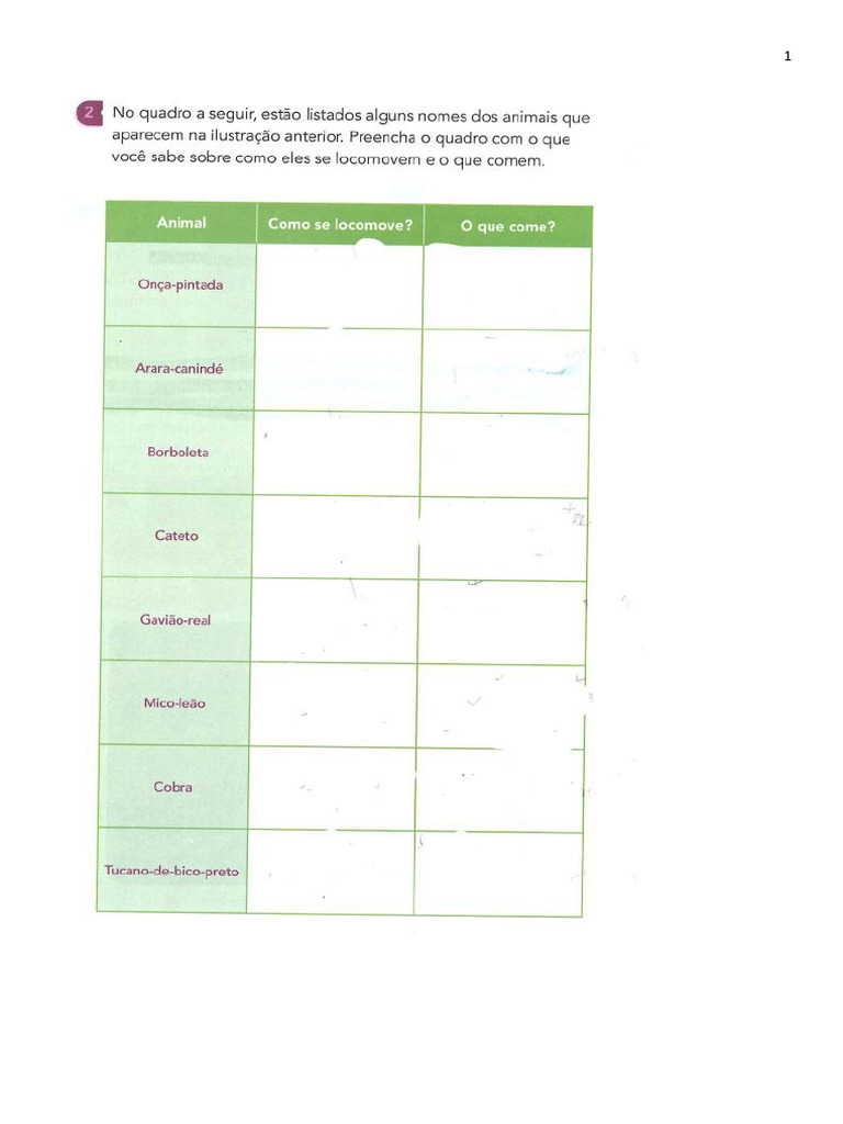 Provinha 2 de Ciências | PDF | Bico | Plantas