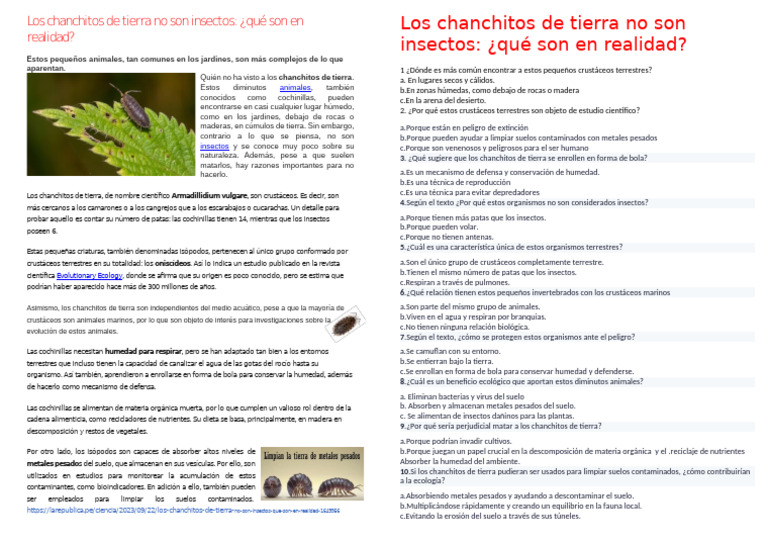 Los chanchitos de tierra no son insectos | PDF | Insectos | Suelo