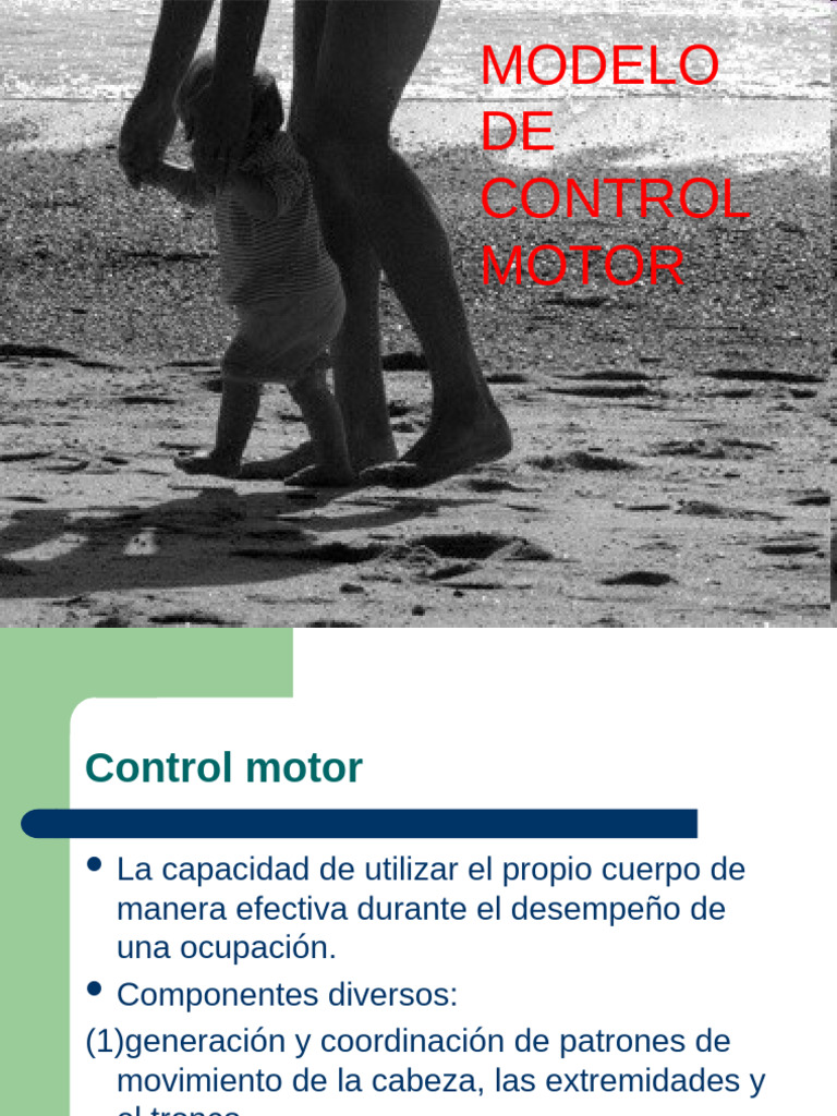 Control Motor | PDF | Sistema nervioso | Neurona