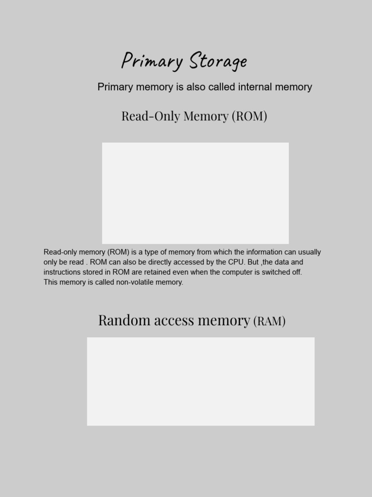 Storage Devices - Google Docs | PDF