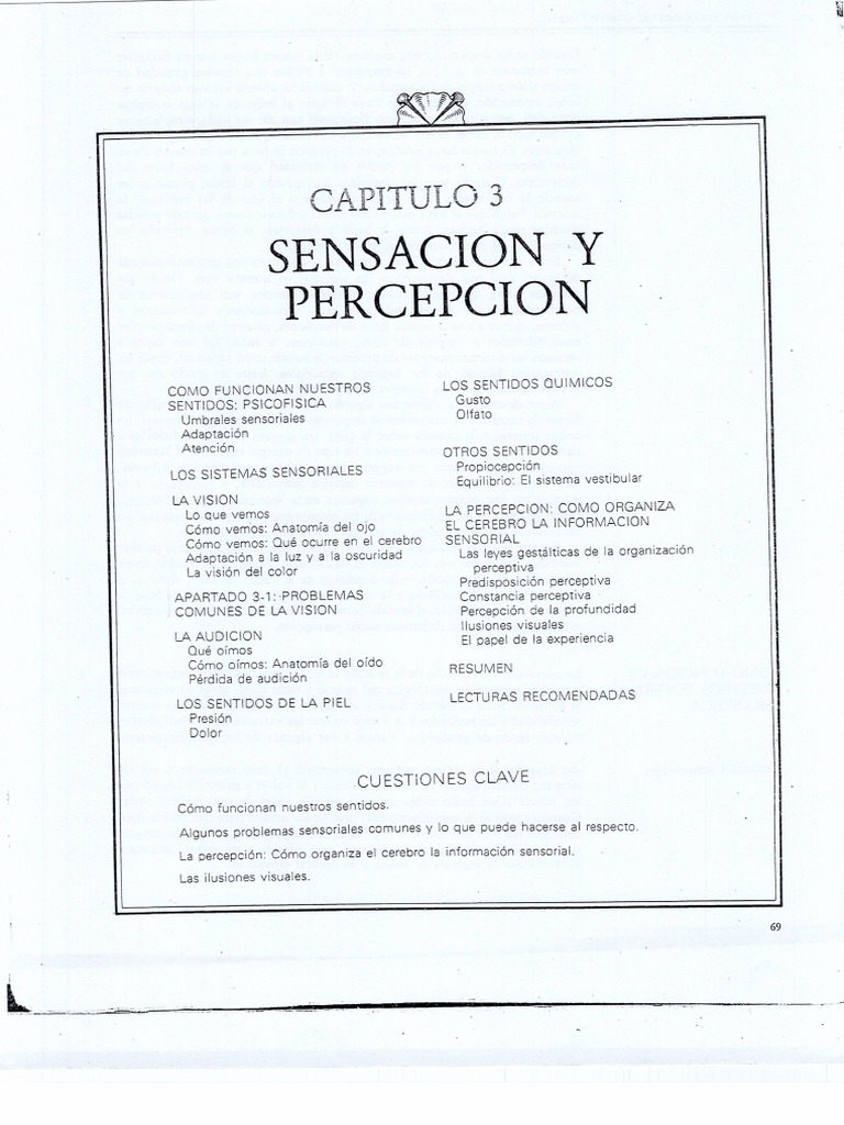 Capitulo 3 Sensacion y Percepcion | PDF