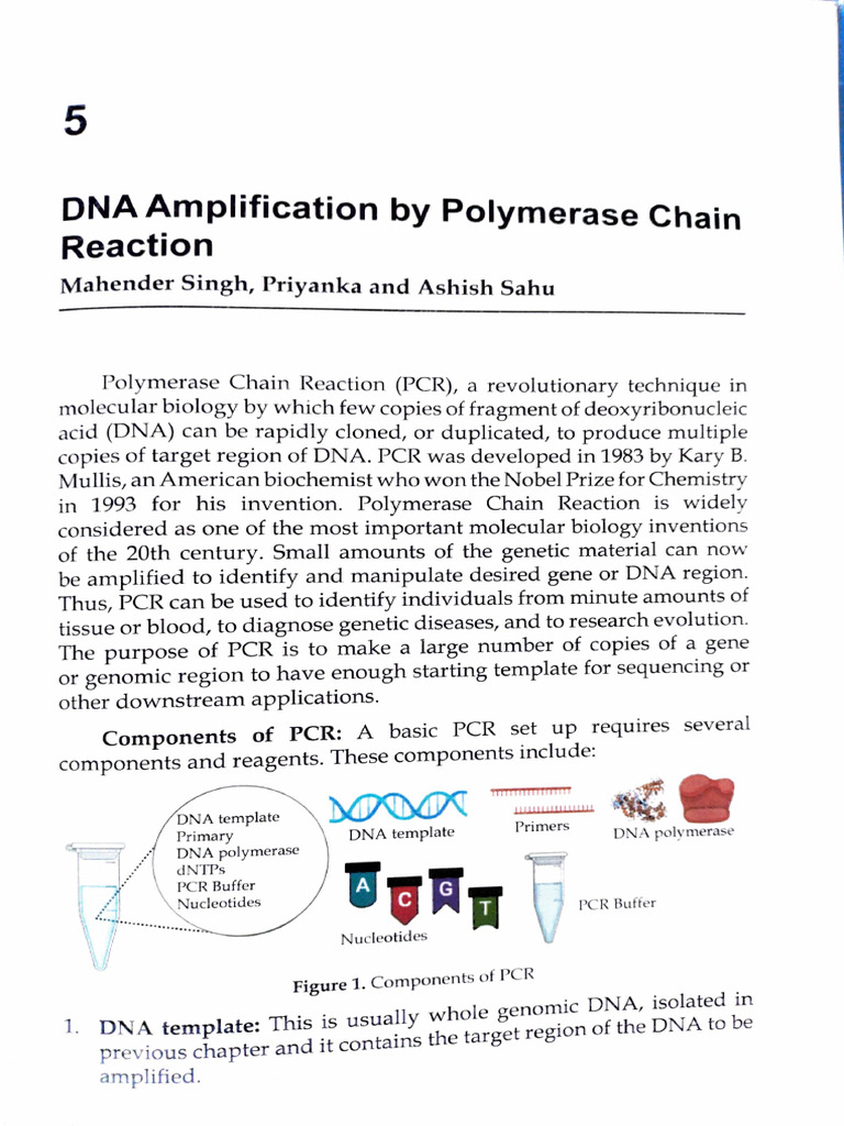 DNA Amplification via PCR Techniques | PDF | Polymerase Chain Reaction ...