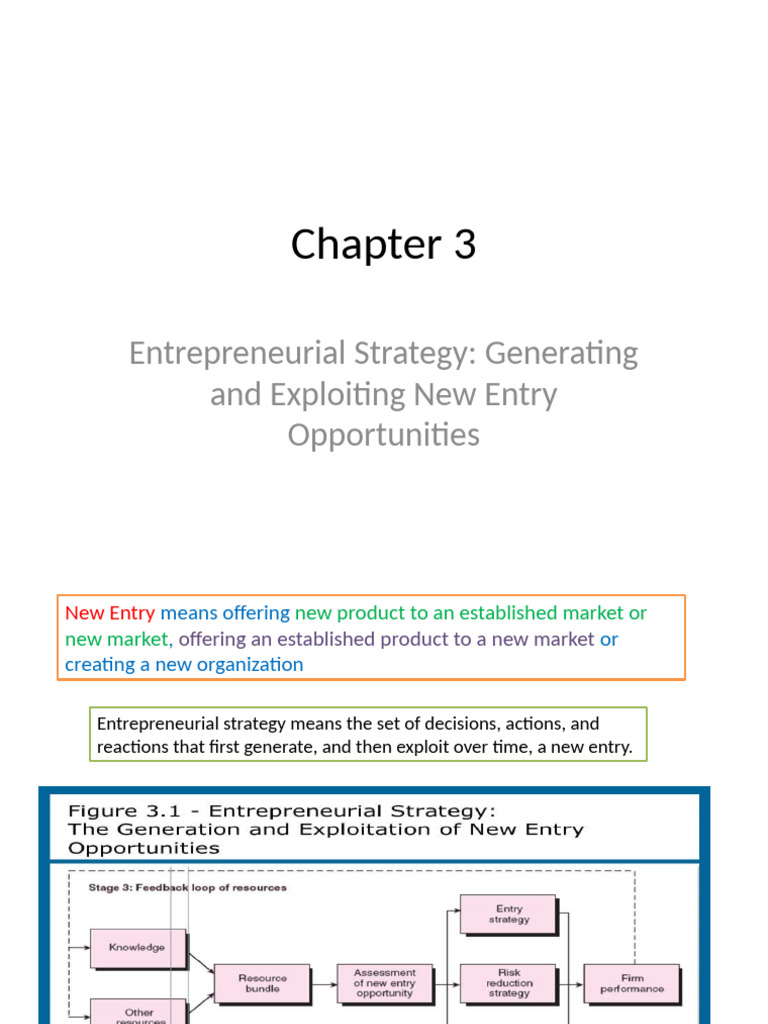 Entrepreneurship Chapter 3 | PDF