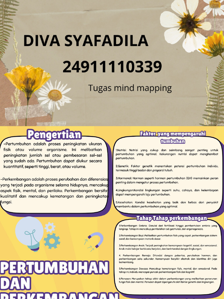 Mind Mapping | PDF