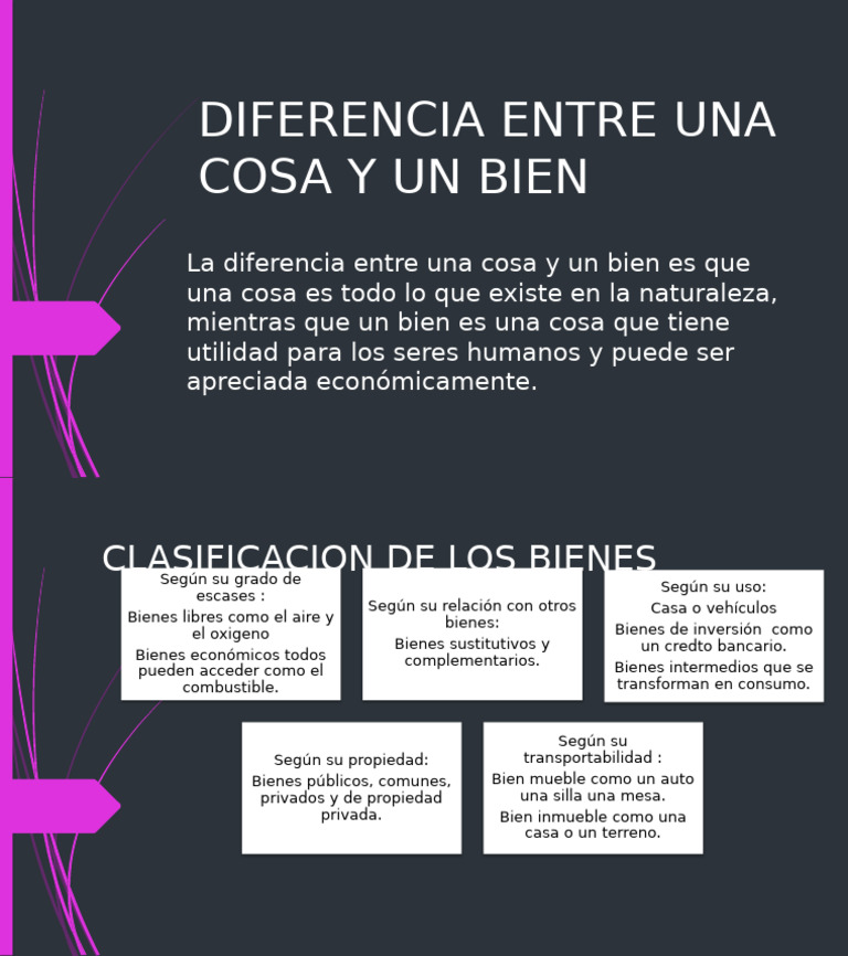 Clasif. Bienes | PDF