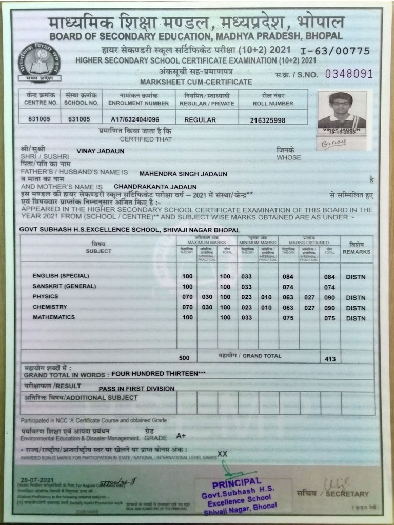 Vinay Jadaun HSC Marksheet | PDF