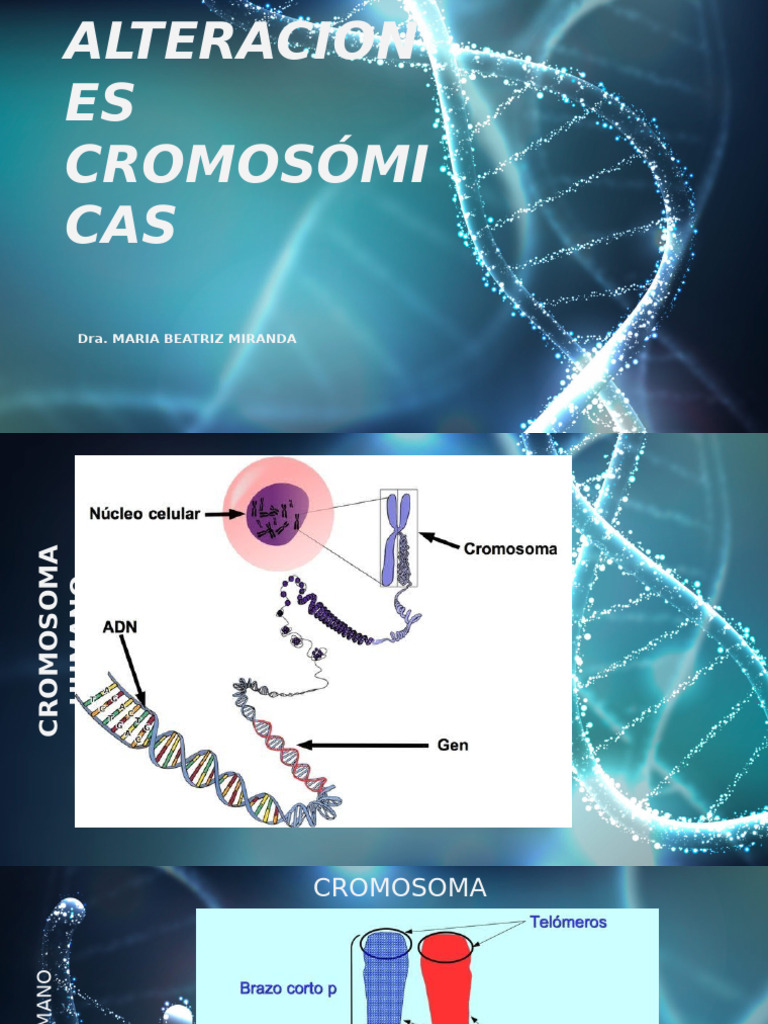 Alteraciones Cromosomicas Presentacion 1 | PDF