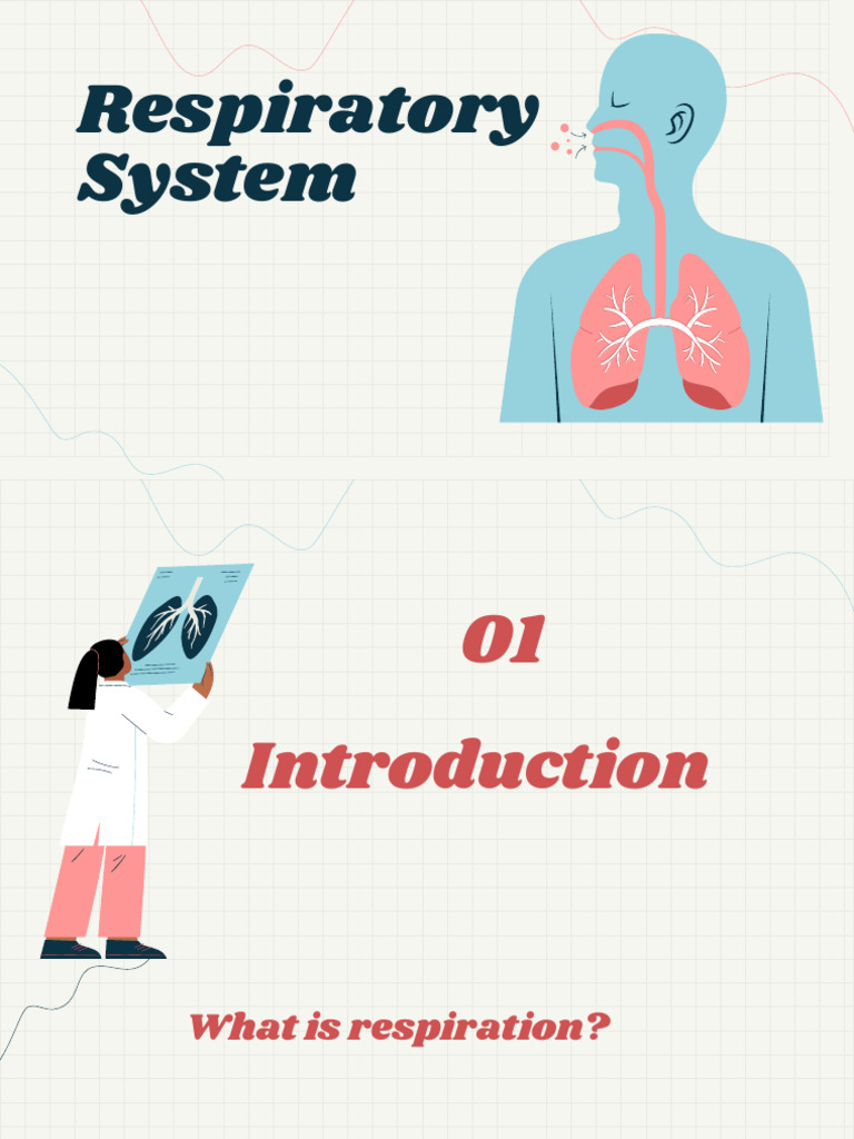 Lungs and Respiratory System by Slidesgo PDF | PDF | Respiratory Tract | Respiratory System