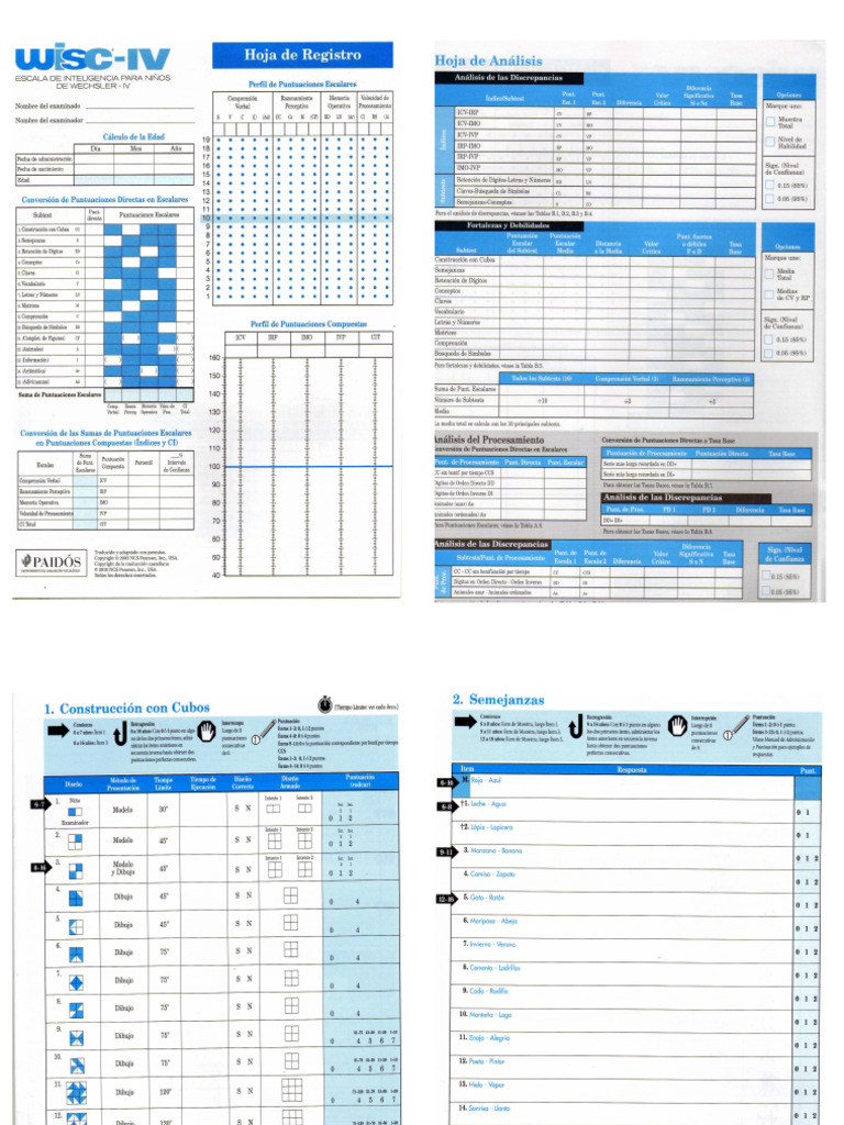 Protocolo Wisc IV | PDF