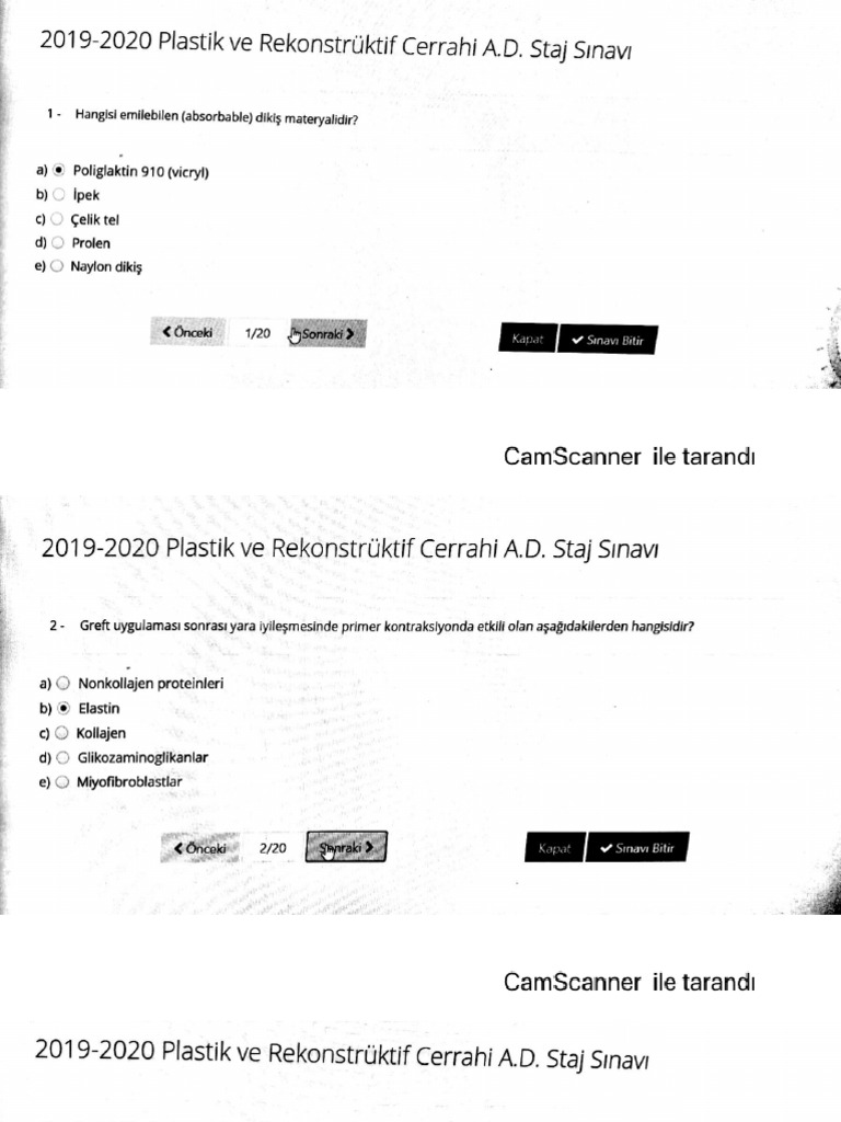 Plastik Sorular | PDF