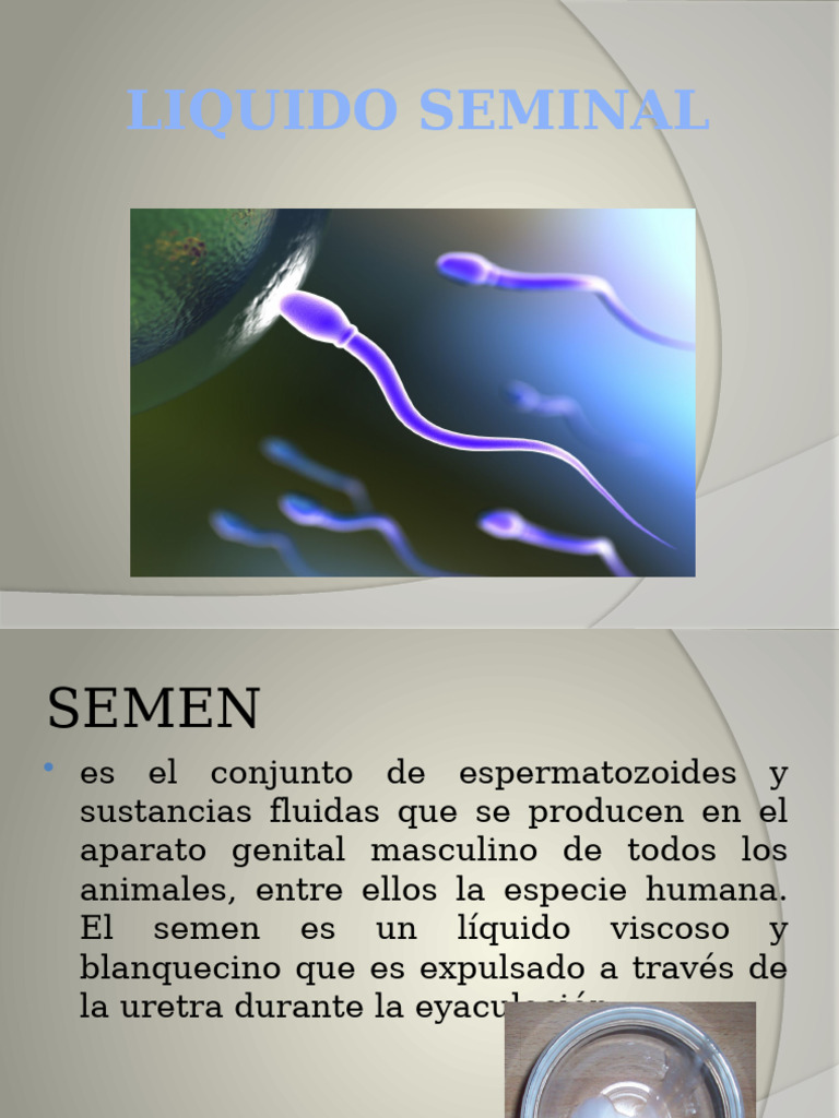 Liquido Seminal | PDF | Semen | Eyaculación