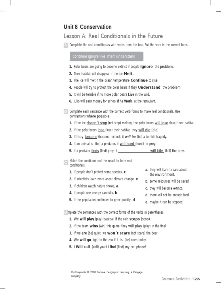 World English 3e Level 2 Grammar Activities Unit 8 Lesson A | PDF | Polar Bear | Predation