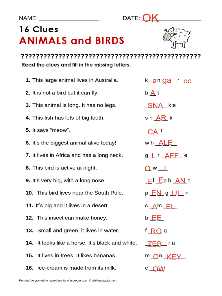 Bird and Animal Clue Worksheet | PDF | Zoology