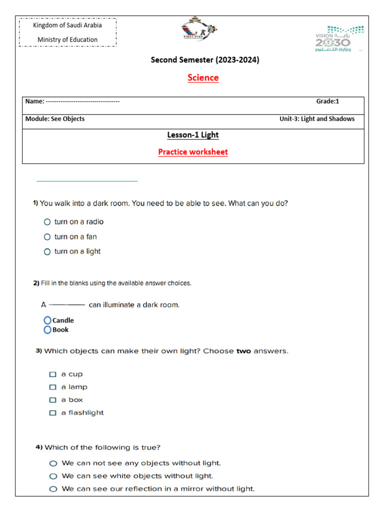 Lesson 1 Light | PDF