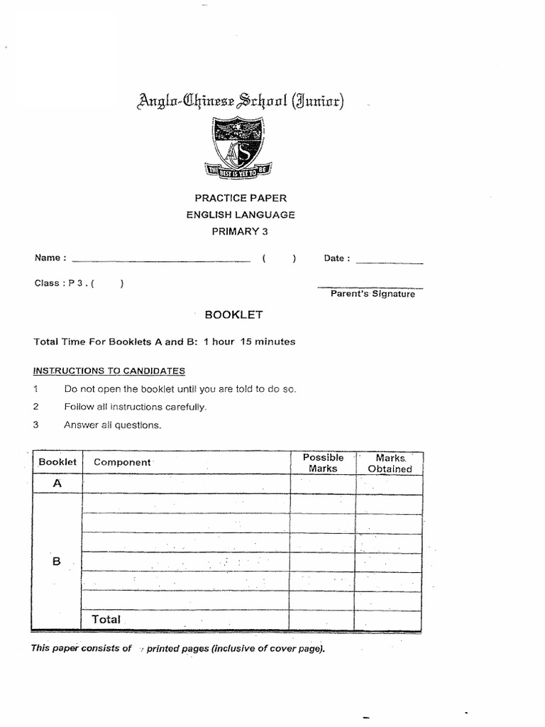 2024 P3 English Bite Sized Assessment 1 ACS (J) | PDF