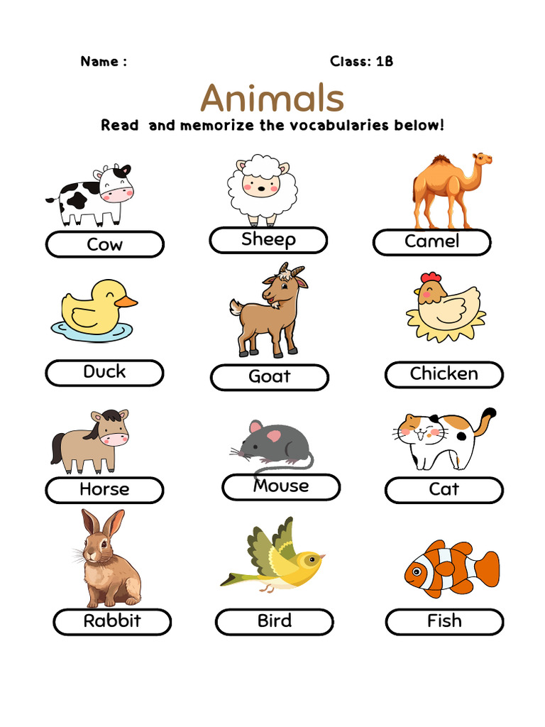 Animal Vocabulary Worksheet 1st Grade - 20250203 - 205402 - 0000 | PDF