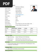 Dossier Template | PDF