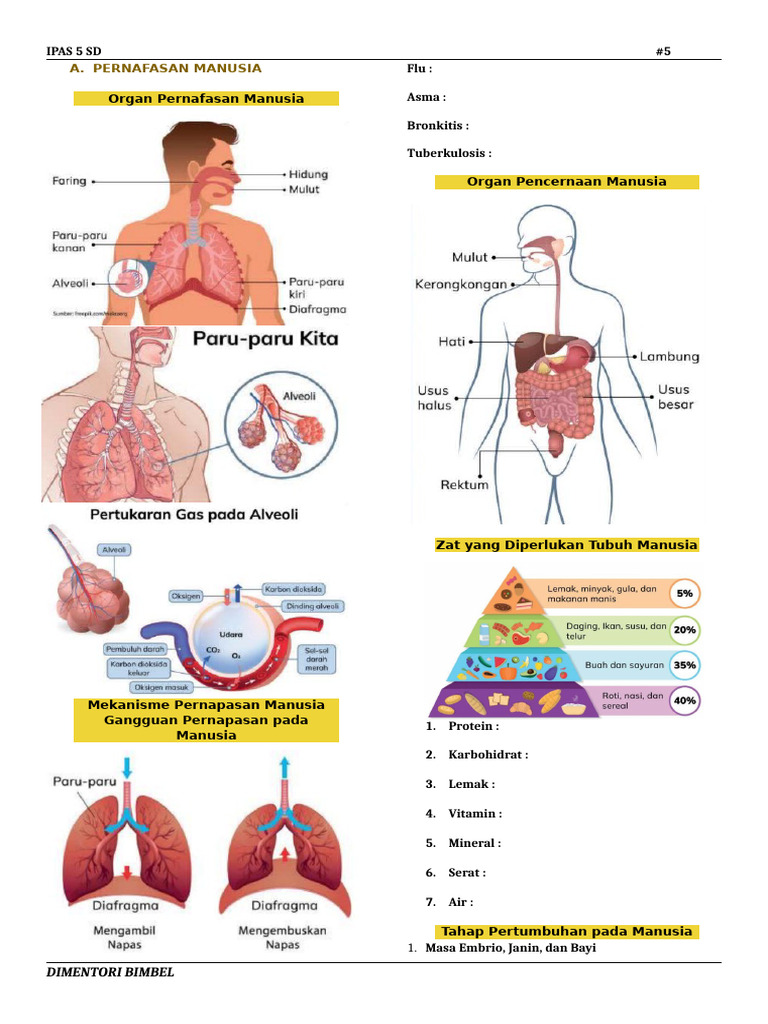 Ipas Kelas 5 Bab 5 Fix | PDF