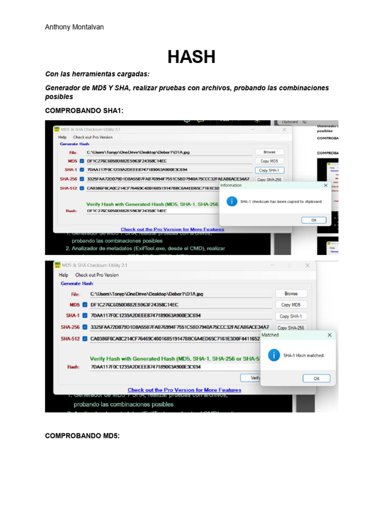Hash | PDF