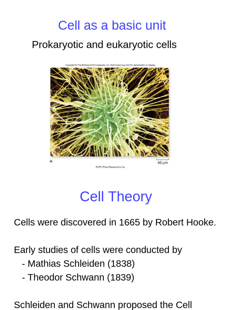 Cell As A Basic Unit-Prokaryotic and Eukaryotic Cells.1ppt | PDF | Cell ...