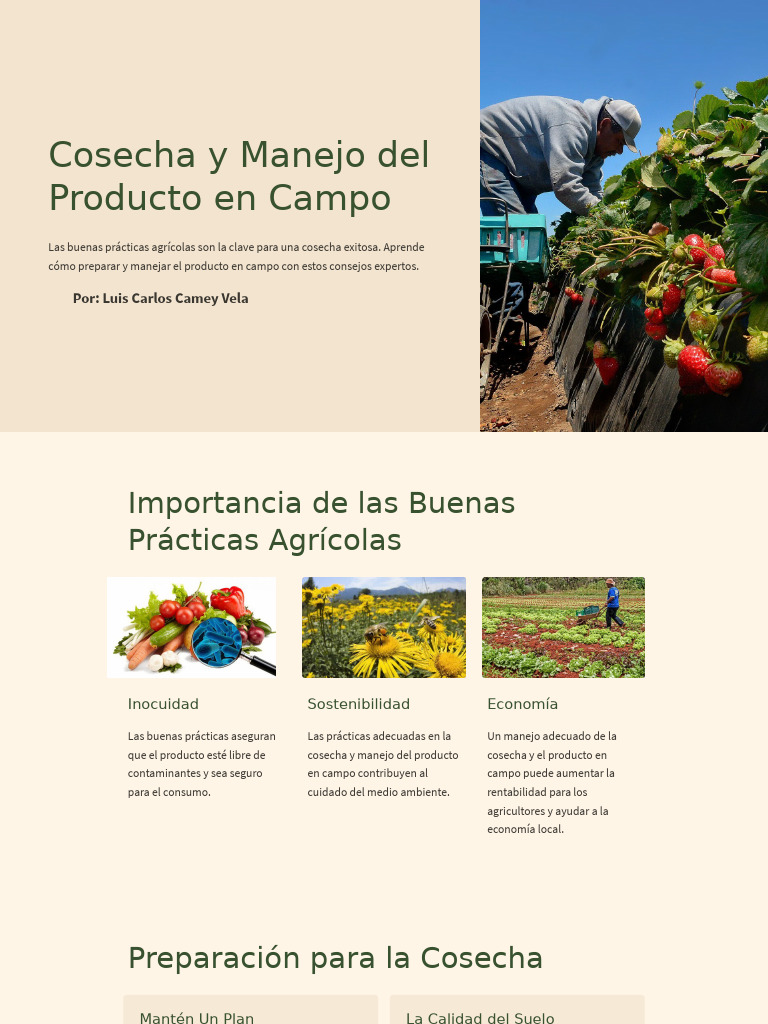 Buenas Prácticas en Cosecha Agrícola | PDF | Cosecha | Agricultura