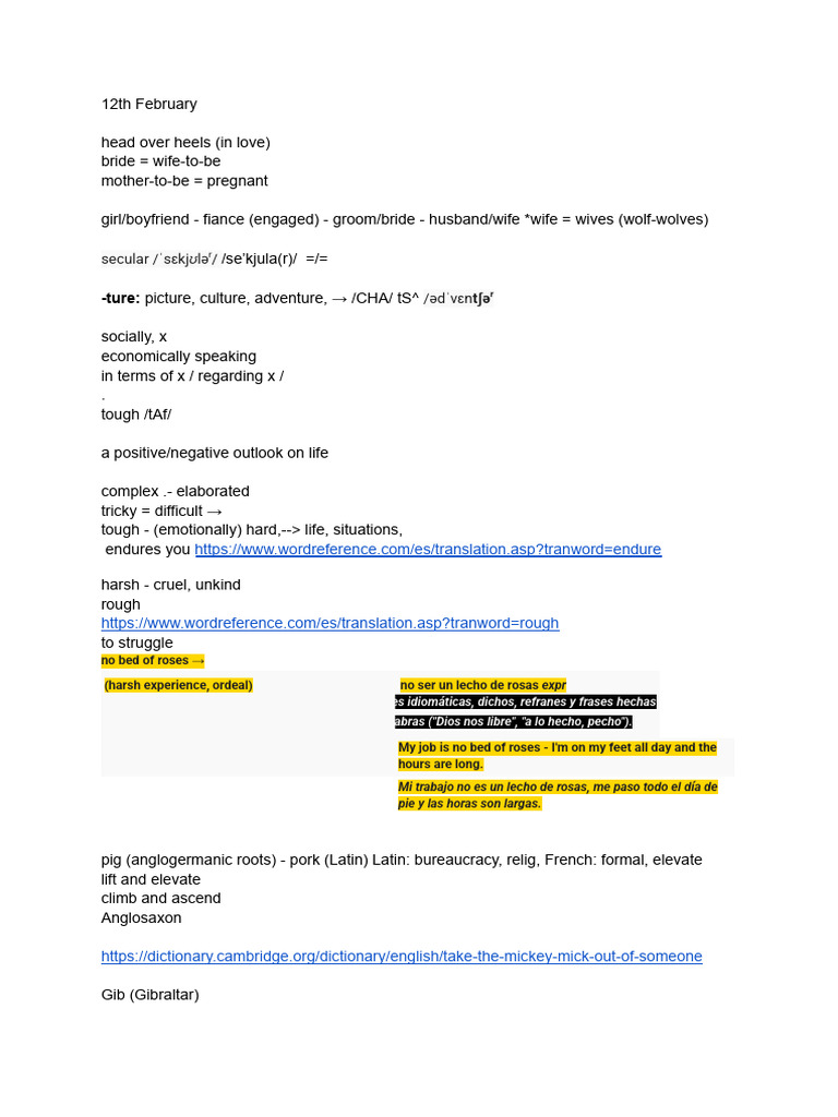 C1 - Unit 3 - Lesson Vocab | PDF