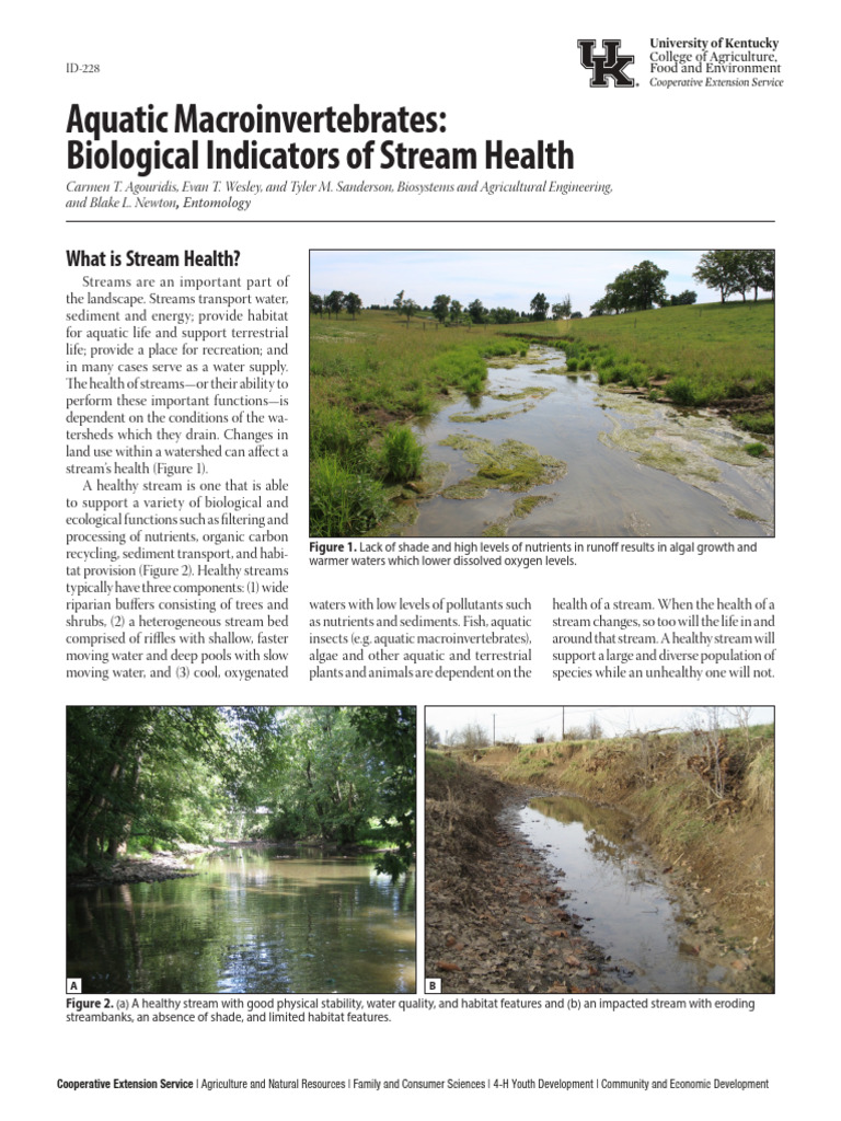 Aquatic Macroinvertebrates Biological Indicators of Stream Health | PDF ...