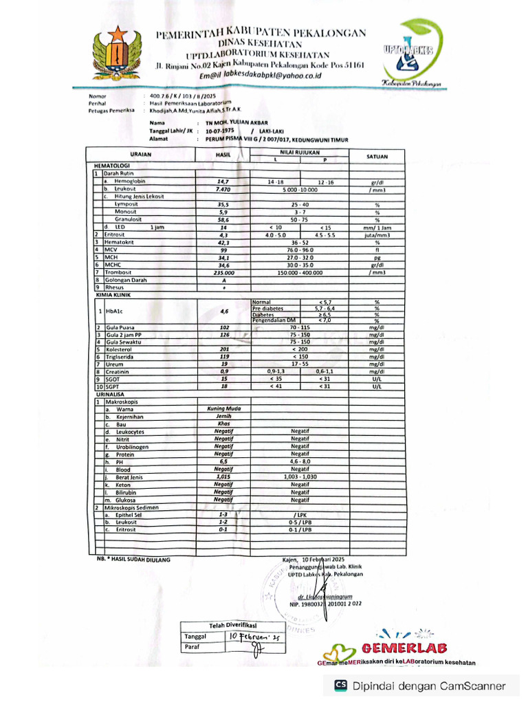 Hasil Lab Pak Sekda | PDF