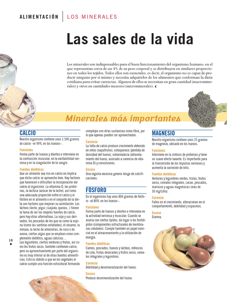 3informacióna Adicional Sales Minerales - Lectura | PDF | Calcio ...