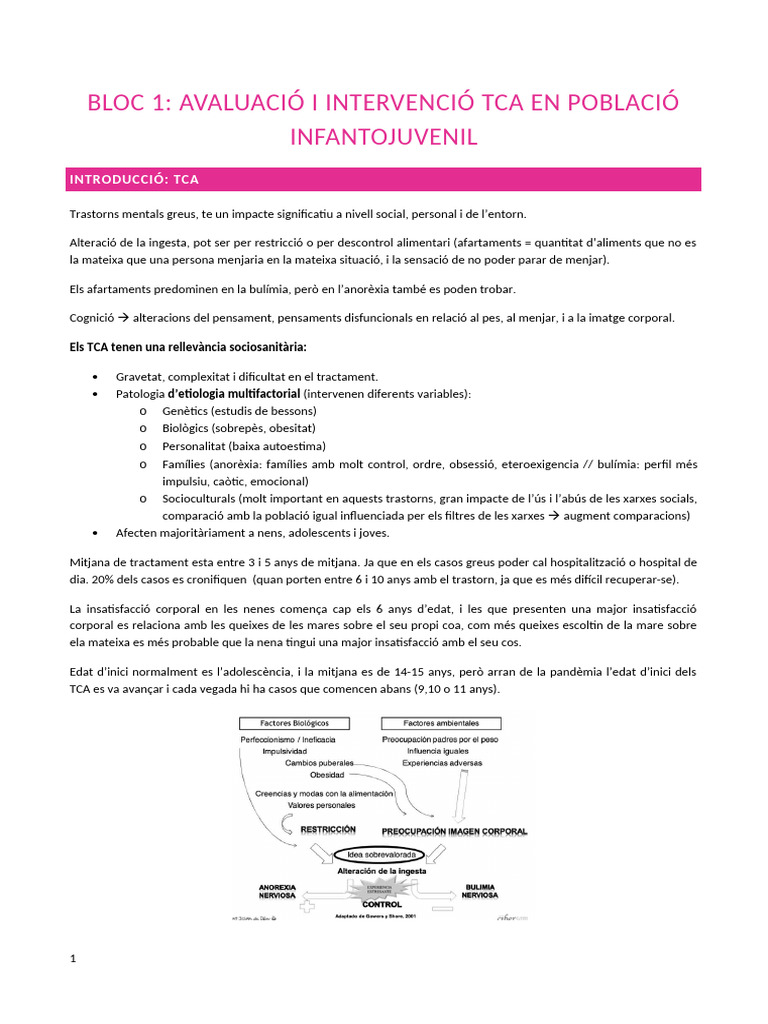 Avaluació I Intervenció en Tca | PDF